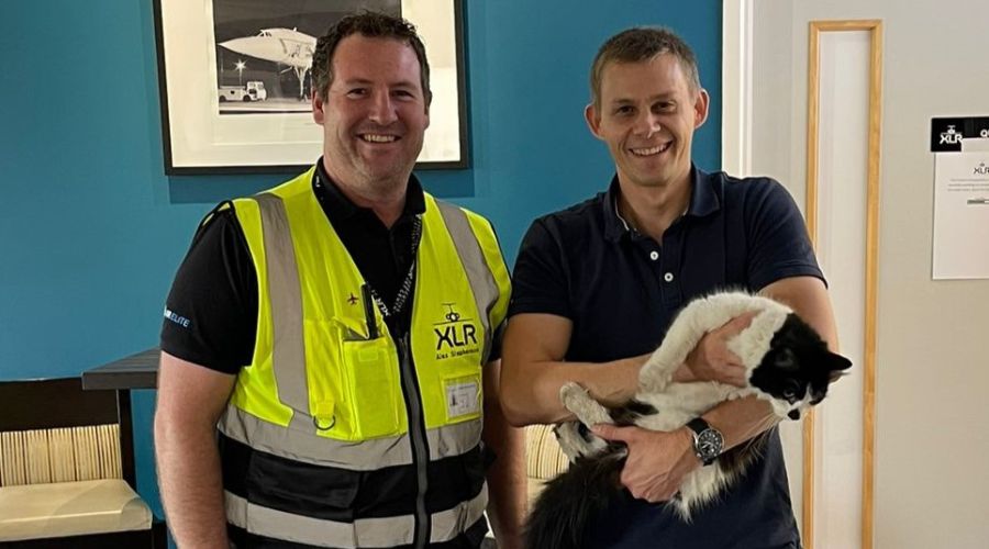 Adventurous cat found in roof at Exeter Airport five weeks after going ...