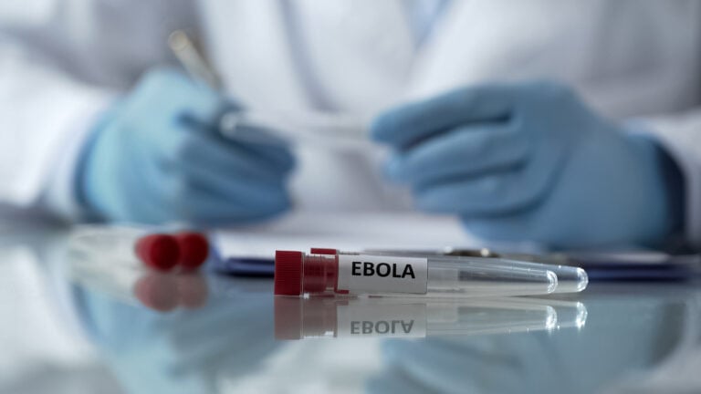 New travel alert issued for East Africa, including Kenya, as Ebola ...